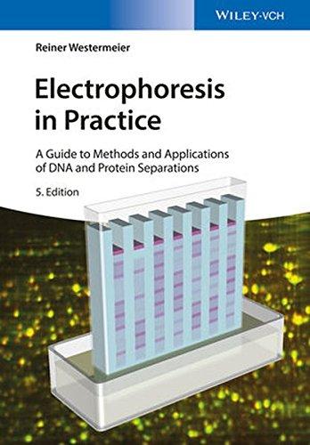 Electrophoresis In Practice A Guide To Methods And Applications Of Dna ...