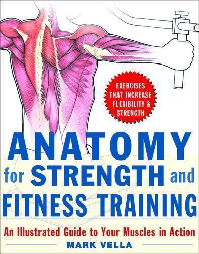 Anatomy For Strength And Fitness Training An Illustrated Guide To Your ...