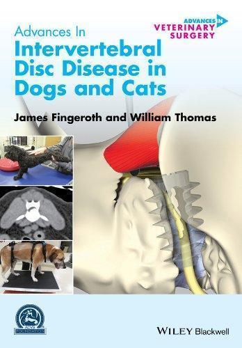 Advances In Intervertebral Disc Disease In Dogs And Cats – Lalatee Store