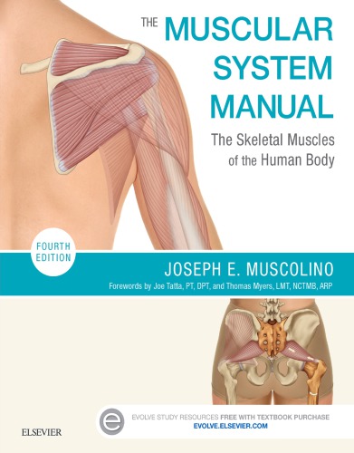 The muscular system manual: the skeletal muscles of the human body ...