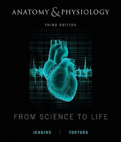 Anatomy And Physiology From Science To Life 3Rd Edition – Auckoo Store