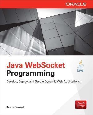 Java Websocket Programming – Auckoo Store