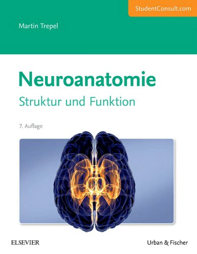 Neuroanatomie: Struktur und Funktion – Mezene Store