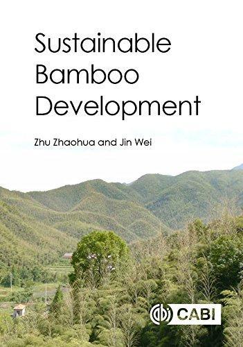 Sustainable Bamboo Development – Hacasa Shop
