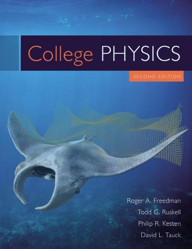 College Physics 2Nd Edition – Lalatee Store
