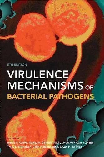 Virulence Mechanisms Of Bacterial Pathogens 5Th Edition – TUNED IN, LLC
