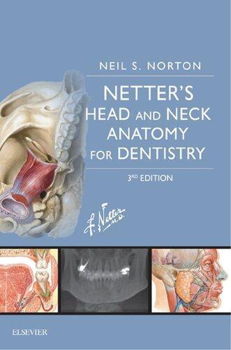 Netters Head And Neck Anatomy For Dentistry 3Rd Edition – Auckoo Store