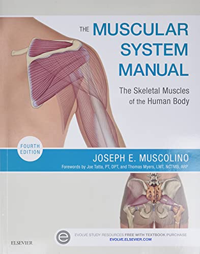 The Muscular System Manual: The Skeletal Muscles of the Human Body ...