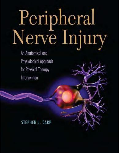 Peripheral Nerve Injury An Anatomical And Physiological Approach For ...