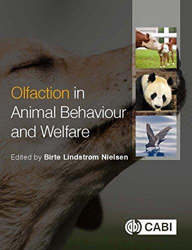 Olfaction In Animal Behaviour And Welfare – Auckoo Store