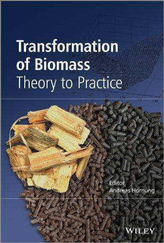 Transformation Of Biomass Theory To Practice – Twin Sea Star