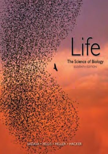 Life The Ience Of Biology 11Th Edition – Hacasa Shop