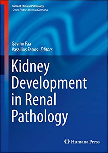 Kidney Development in Renal Pathology – Twin Sea Star