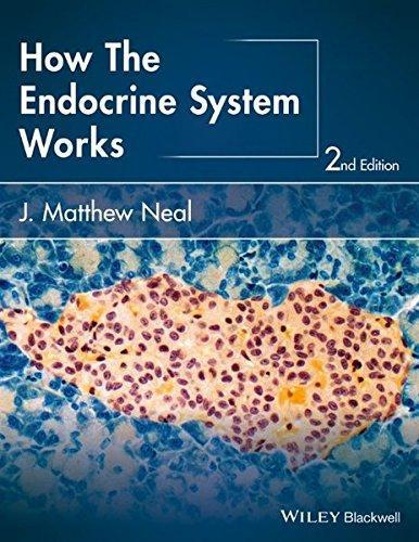 How The Endocrine System Works 2Nd Edition – Twin Sea Star