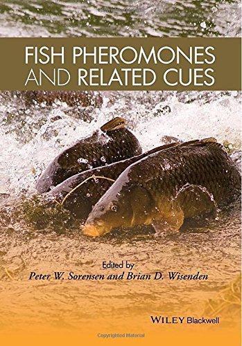 Fish Pheromones And Related Cues – Gapostore.com